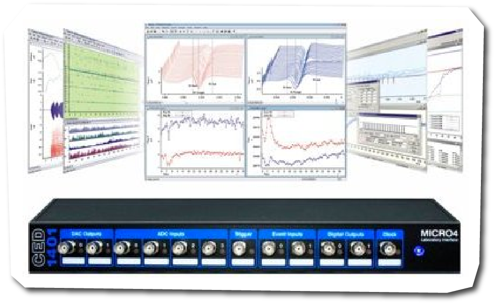 CED Signal Acquisition | Brainbox
